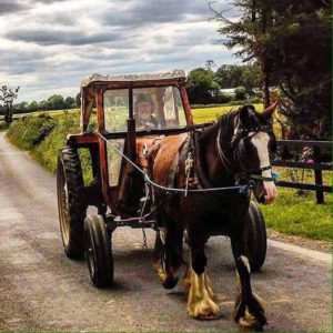 30+ Incredibly Funny Irish Pictures