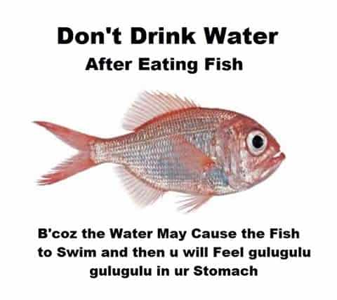 A Sagely Advice - Funny Irish Pictures - Irish Around The World