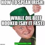 50+ Of The Most Epic Irish Memes On The Internet Ever 2020