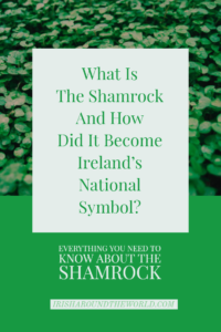 Why The Shamrock Is A Symbol of St. Patrick’s Day and Ireland ☘️ ...