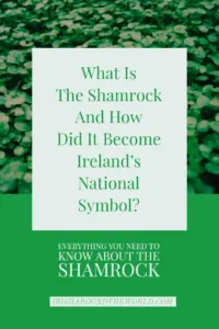 What Is The Shamrock And How Did It Become Ireland's National Symbol ...