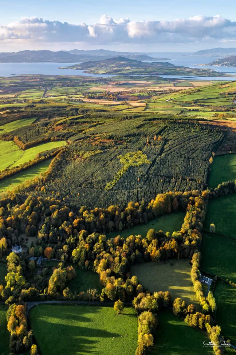 The Hidden Celtic Symbols Secretly Grown Around Ireland & Their Story