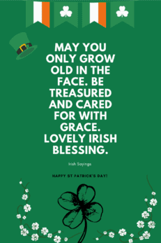 150 Incredible And Unique Irish Sayings And Irish Blessings – Irish ...