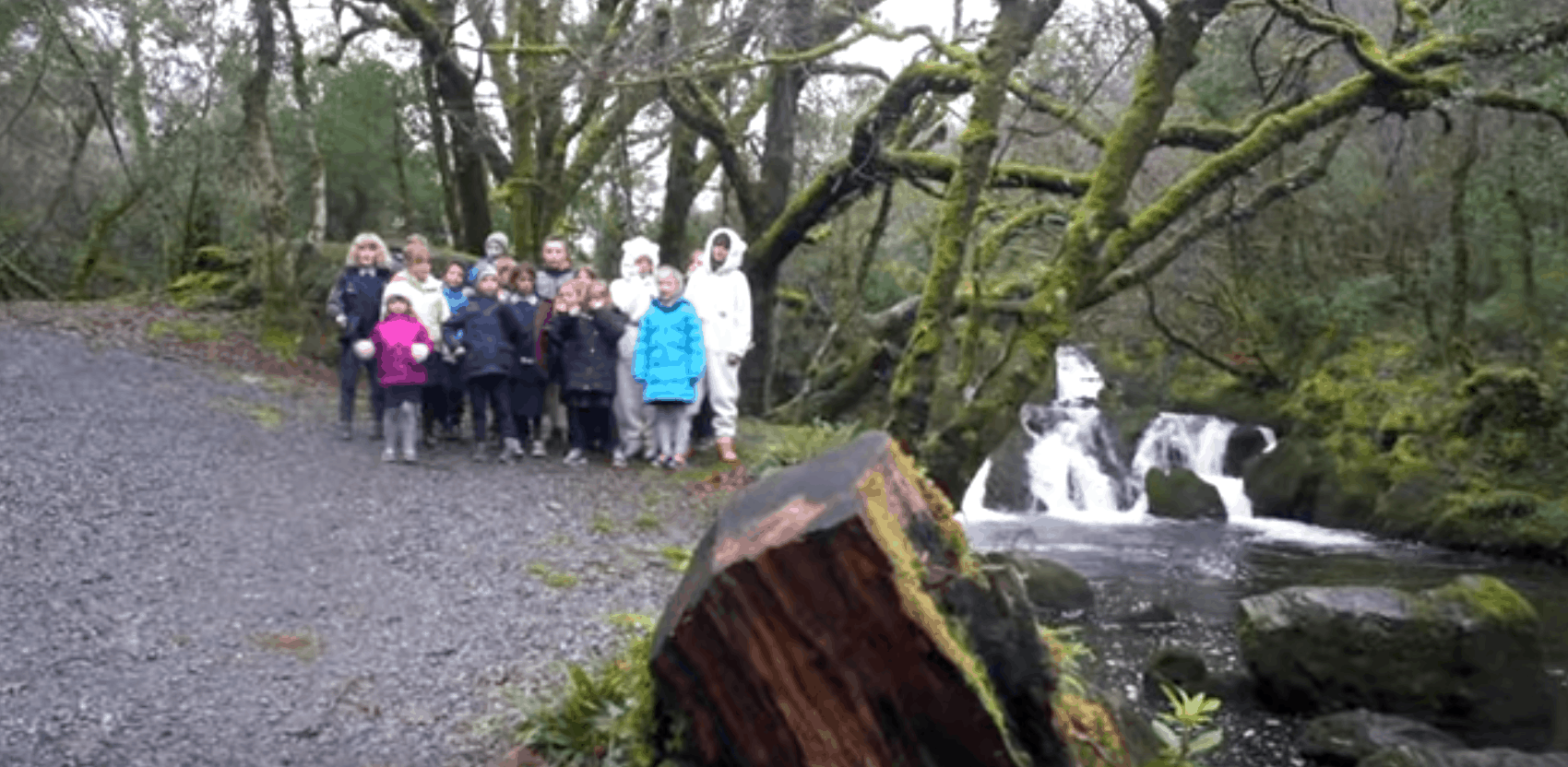 Climate Change Video Cork - Irish Around The World