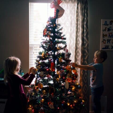 15 Christmas Facts You PROBABLY Didn't Know 🎅