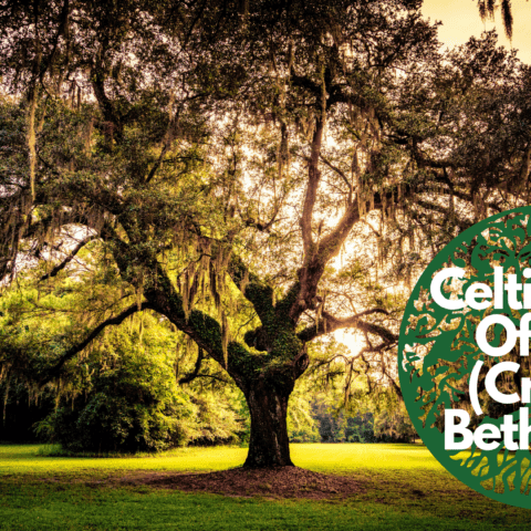 Celtic Tree Of Life Example Tattoo (1) - Irish Around The World