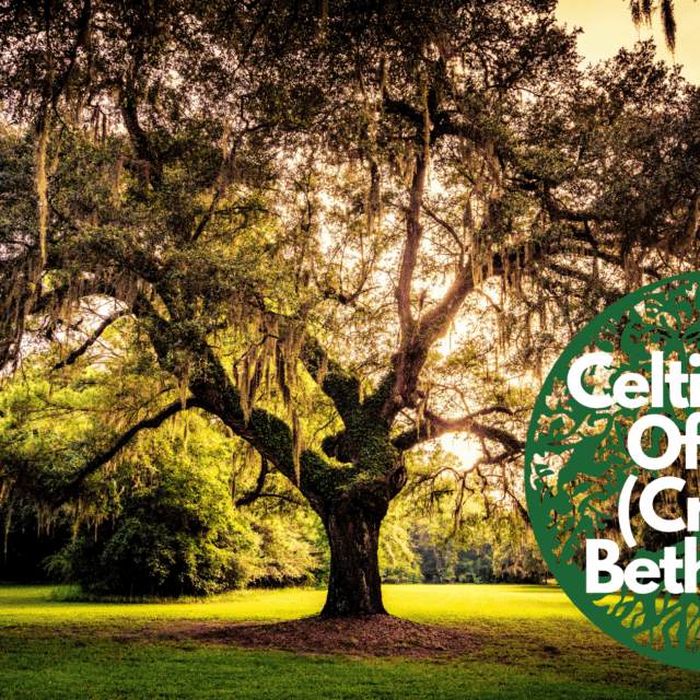 5 Brilliant New Irish Jokes That Will Make You Laugh(Paddy & Murphy)