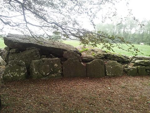 20+ Facts About Cork: The 'REAL' Capital Of Ireland