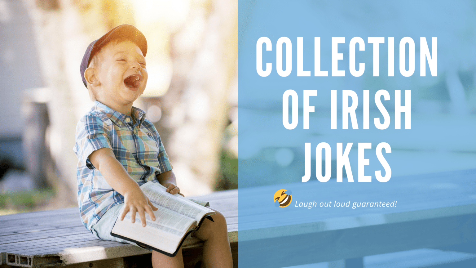 Collection Of The Funniest Irish Jokes From My Weekly Dose Of Irish
