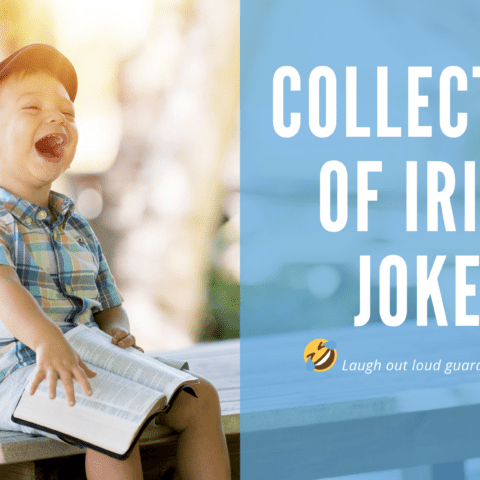 Five Best Ways To Learn Irish Online (Including Free And Paid Apps)