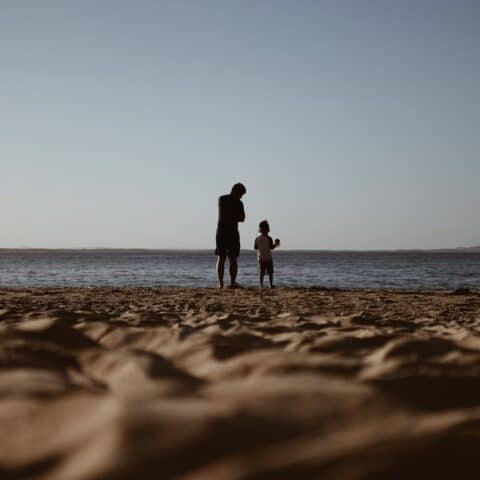 Follower, By Seamus Heaney - Full Poem And Analysis