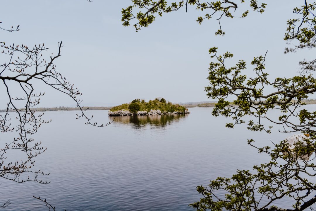 My Ultimate Killarney Guide: Top Things To Do In Killarney ☘️