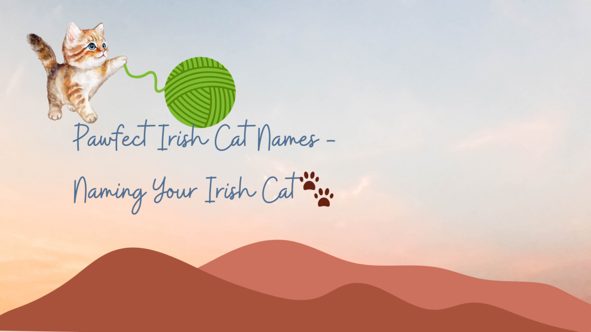 Pawfect Irish Cat Names - Naming Your Irish Cat 🐾 - Irish Around The World